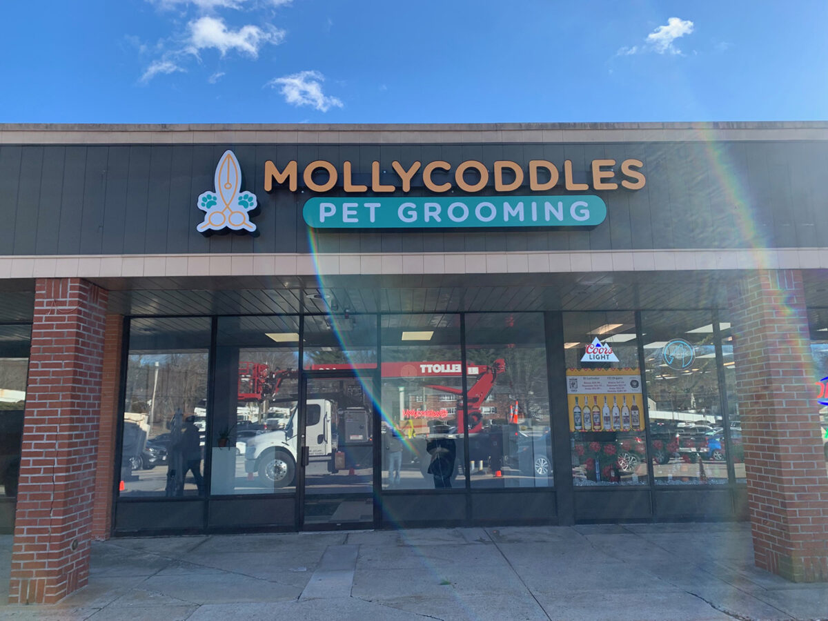 MollyCoddles Front Lit Channel Letter Raceway Sign & Direct Mount ...